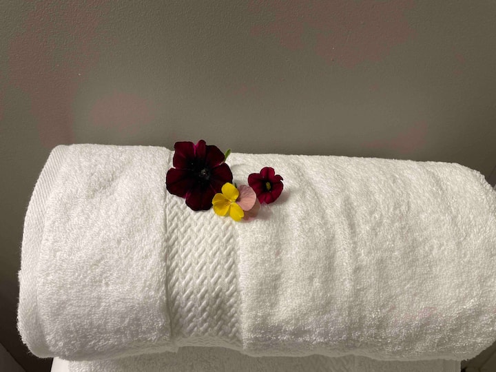 Clean Queen / 5 Mins To Airport / Banff Pass Inc - Calgary