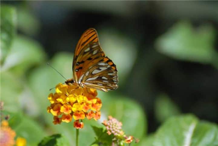 Two Bays Beach Villa - Grenada