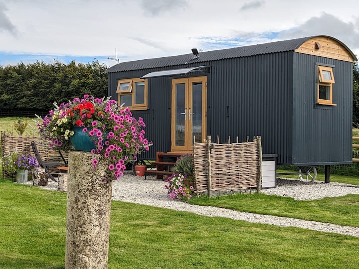 Shepherds Hut In Devon With Fabulous Country Views - Dartmoor Forest