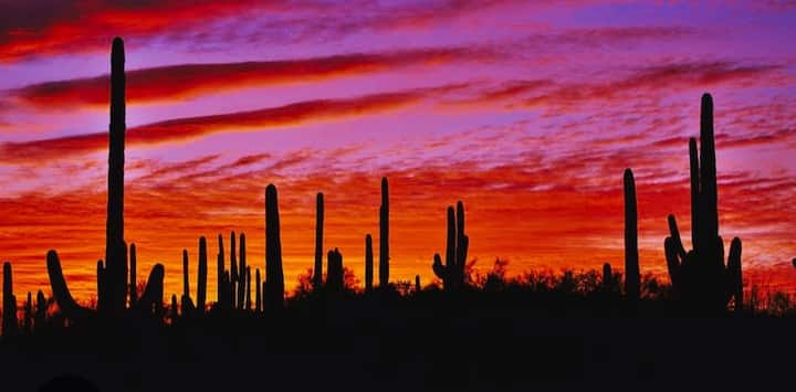 Painted Sunsets - Marana, AZ