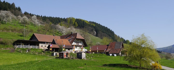 Happyfarm - Natur, Ruhe, Inspiration - Forêt-Noire