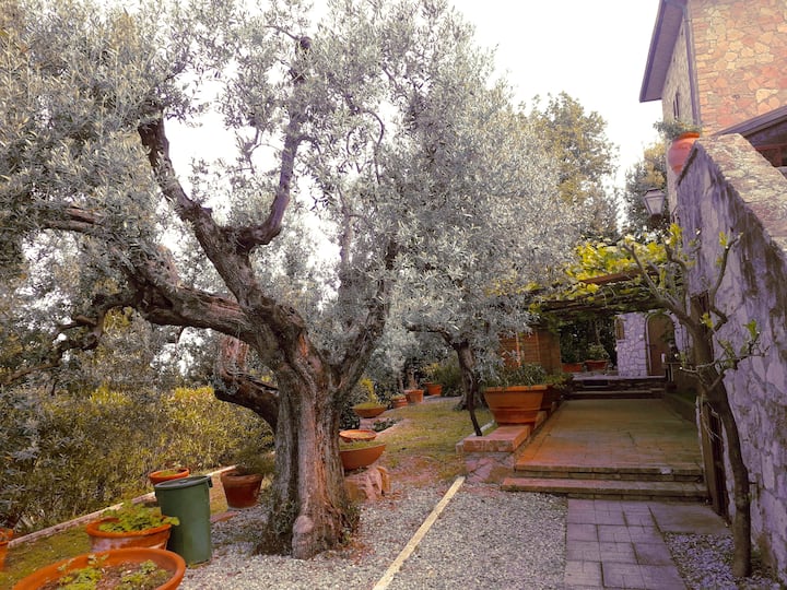 Villa Carla - Castagneto Carducci