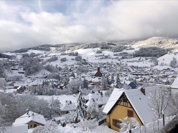 Au Vieux Cèdre - Alsace