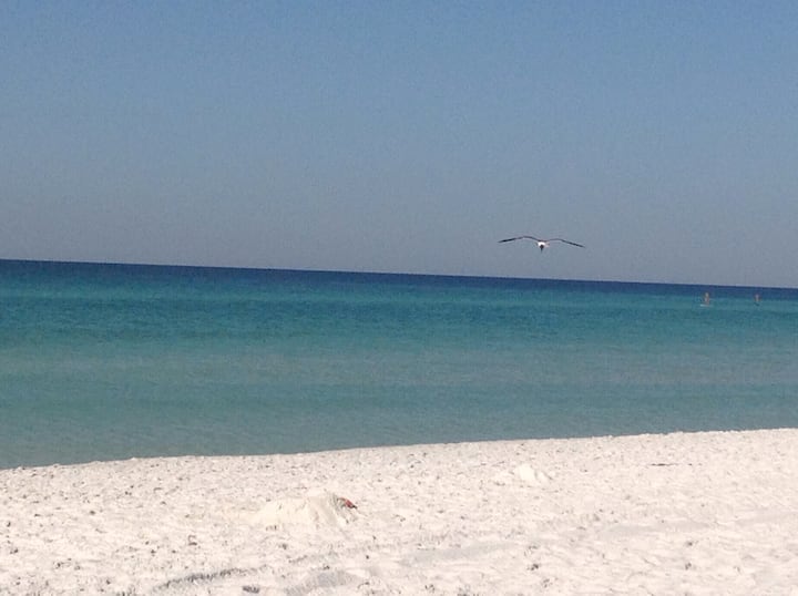 Okaloosa Island Beach Condo4/small Pet/poolgrill - Fort Walton Beach, FL