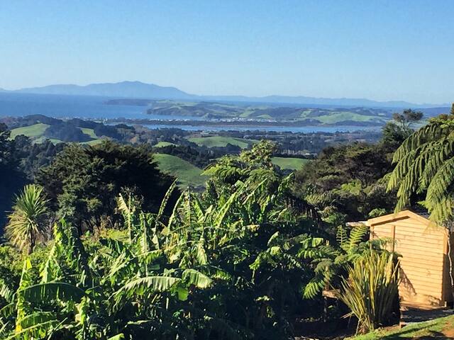 9 Best Things To Do In Matakana, New Zealand | Trip101