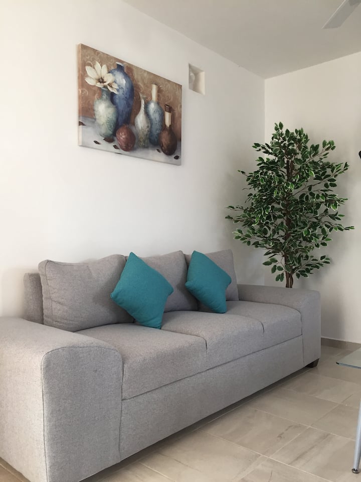 Saknikte C - Mérida