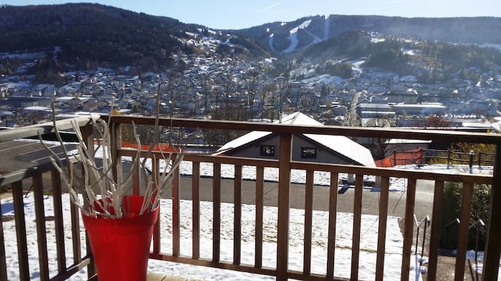 Gérardmer-bel Appart. De Charme 3* Vue Panoramique - Gérardmer
