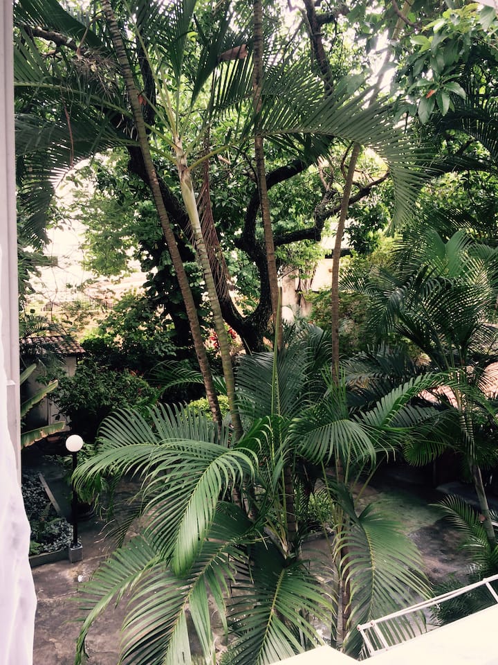 Studio Ipanema Just Renew 3 Guest - Rio de Janeiro