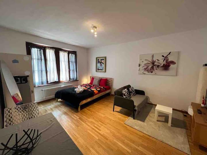 “Nami” Lovely One Bedroom In Old Town - Geneva