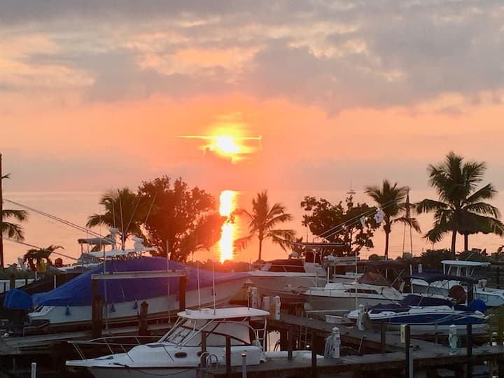 Paradise Ocean Views.  Beach, Pickelball, 3/3 Pool - Key Largo, FL