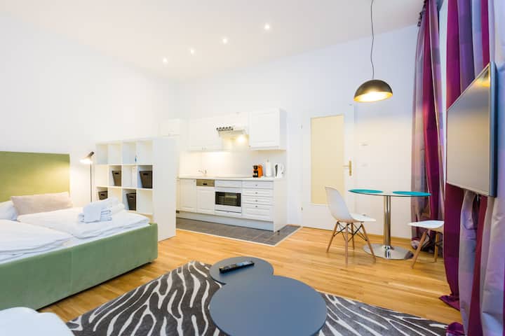 Studio Apartment In Center 3.09 - Vienna