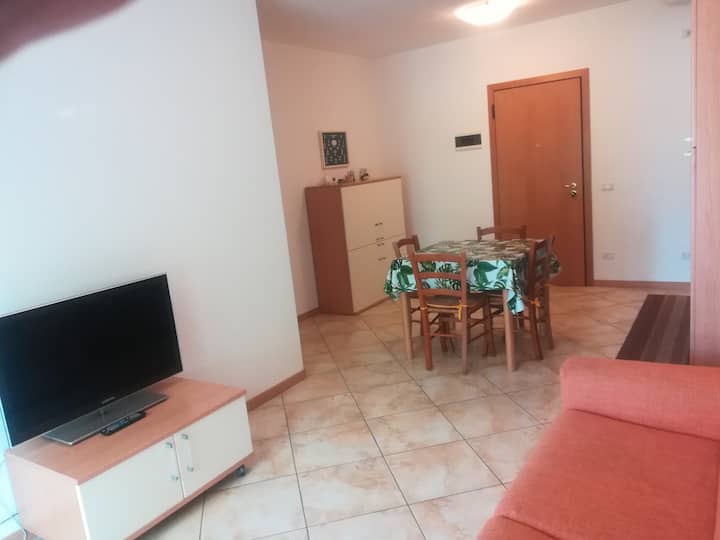 Lampo Family Appartment 2 - Misano Adriatico