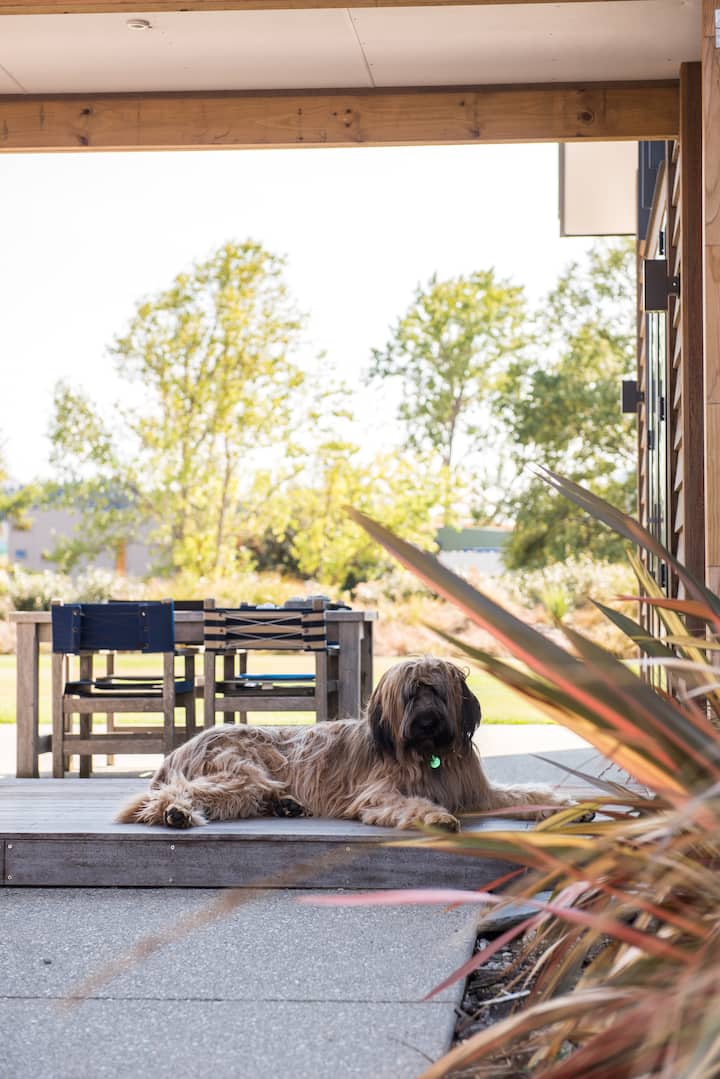 Wanaka Cedar Loft - Wanaka