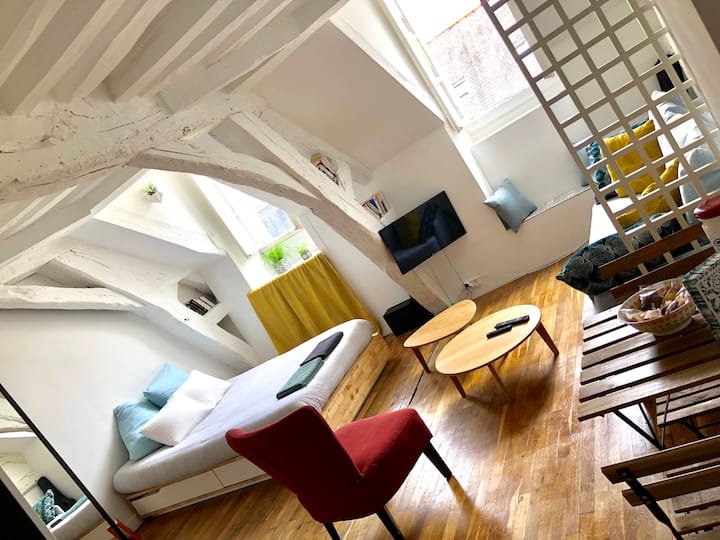 Cosy Studio - Centre Historique (Long/court) - ibis Styles Rennes Centre Gare Nord