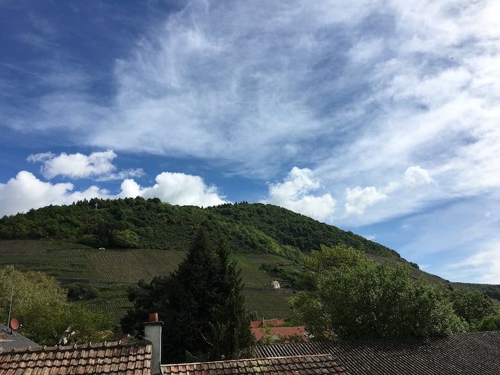 Appart. Centre Ville, Terrasse Vue Sur Le Vignoble - Thann