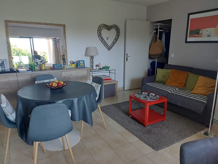 Grand Studio Proche Plages Et Commerces - Mandelieu-la-Napoule