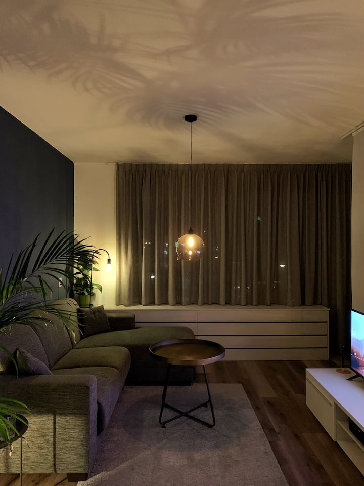 Modern Renovated Apartment Nearby Utrecht +2 Bikes - Utrecht