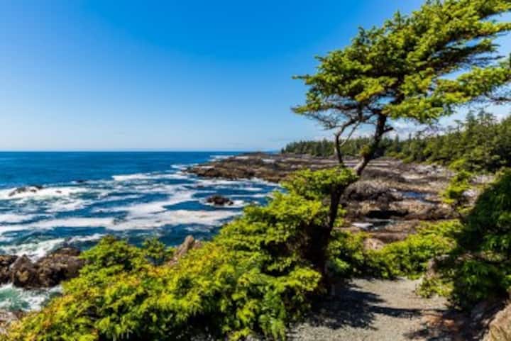 Pirates Cove - Ucluelet