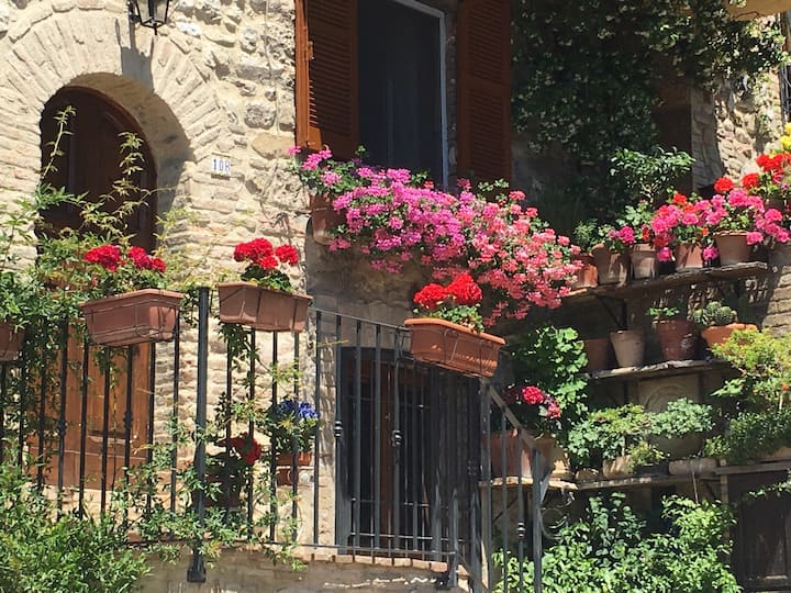 Il Sementone Casavacanze - Assisi