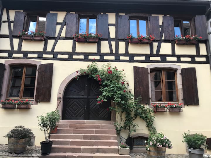 Gîte Les Hirondelles Eguisheim - Eguisheim