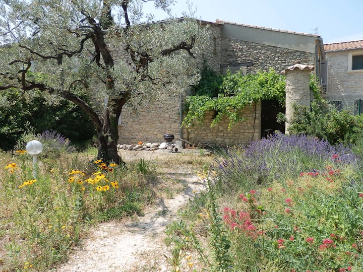 La Fenière - L 'Olivier - Nyons