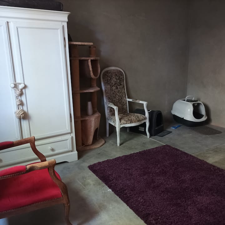 Chambre "Verte" Chez Brigitte à Cahors - Cahors