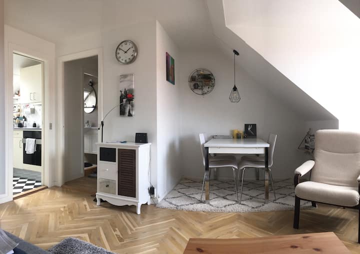 Cozy, Beautifully Lit Attic With Easy Commuting - Copenhaguen