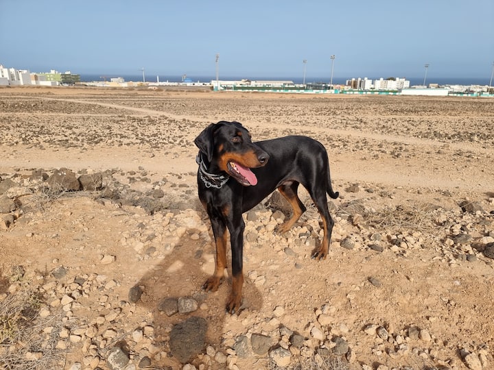 Puerto Del Rosario Center - Fuerteventura