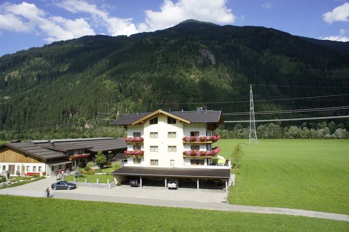 Apart Stoanerhof - Pertisau
