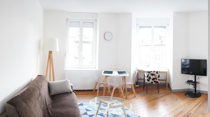 Tres Bel Appartement 2p Proche Centre - Estrasburgo