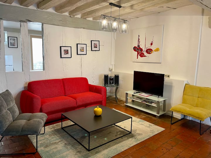 Appartement Très Spacieux Plein Centre Historique - Auxerre
