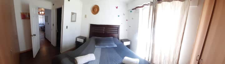 Departamento Central - Llanquihue