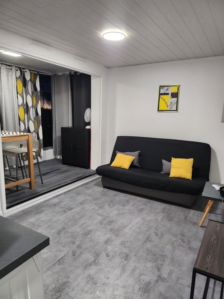 Studio Avec Piscine Sur Arcachon (3 Couchages) - Bassin d'Arcachon