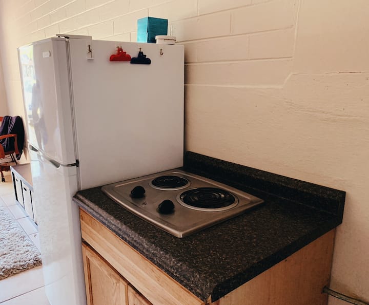 Studio - Gainesville, FL