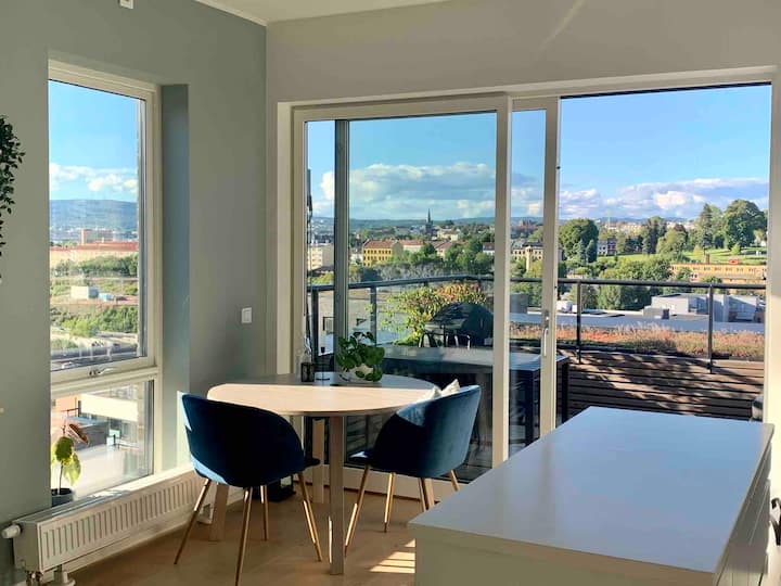 Toppleilighet Med Egen Takterasse! - Oslo