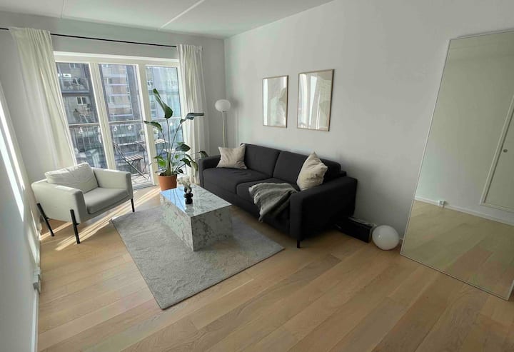 Luxurious Designer Appartment By The Water - Copenaghen