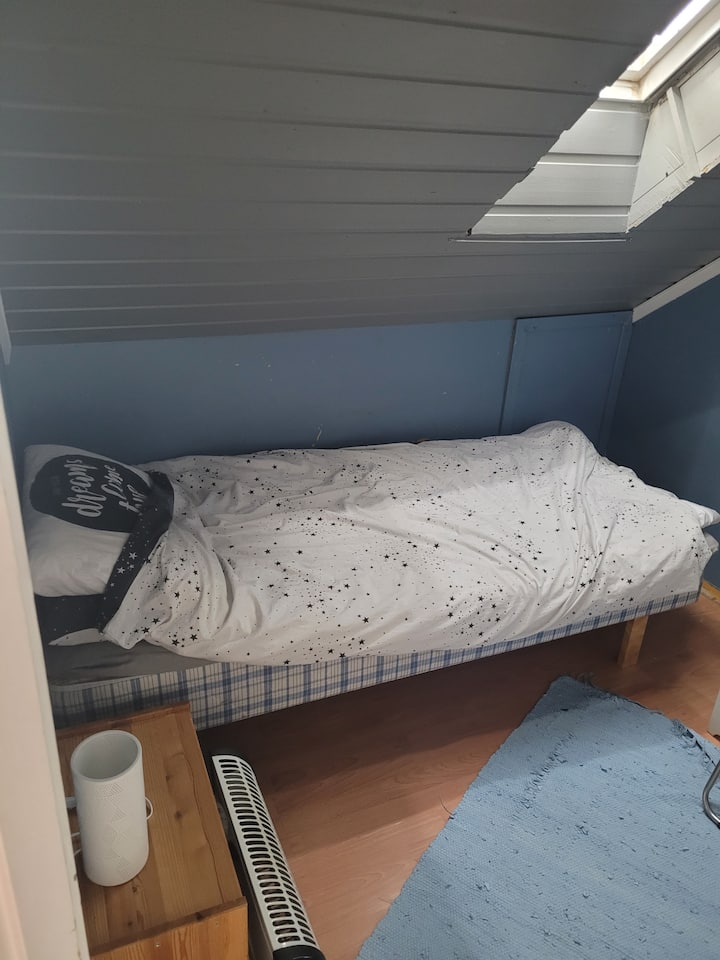 Privat Rom I Tomannsbolig. - Norvegia