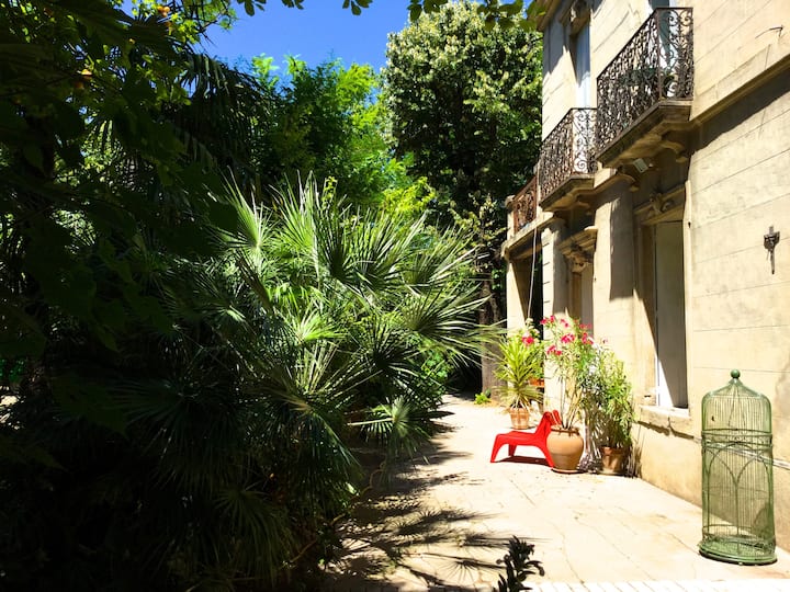 Studio , Terrasse Centre Ville - Montpellier