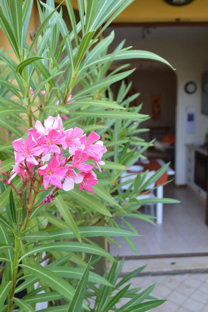 Evelyn's Apartments - Moniga Garden - Manerba del Garda