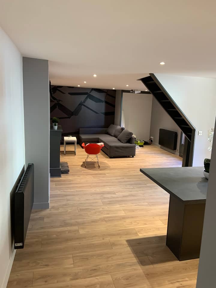 T2 En Duplex 5* De 60 M2 Rue Vasselot - 렌