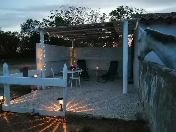 Séjour En Camargue Au Cœur D'un éLevage De Chevaux - Saint-Gilles