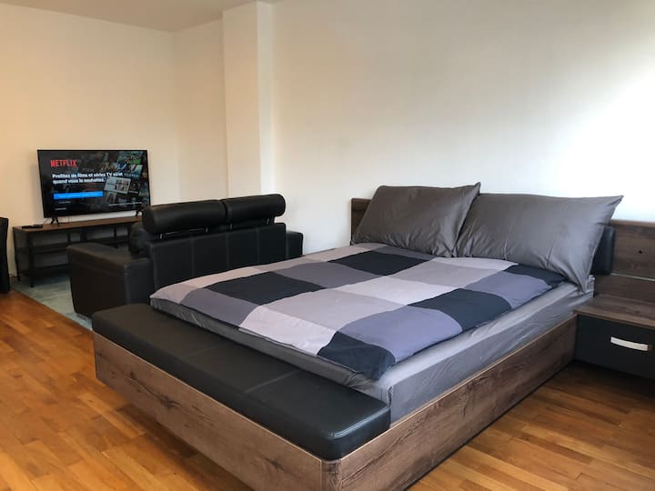 00b Studio Centre-ville Genève - Geneva