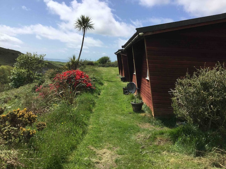 Willow At Chylean Chalets Pet Friendly Holiday - ティンタジェル