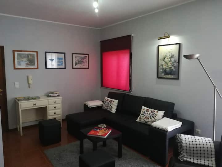 Alojamento De Santa Maria - Apartamento C/ Terraço - Amarante