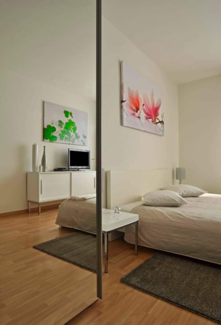 Studio Meublé Avec Place De Parc - Lausanne