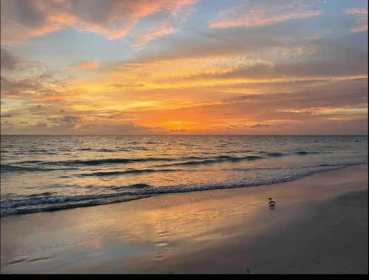 Winter At The Suites*sandy Toes*sunset Strolls*fun - Holmes Beach, FL