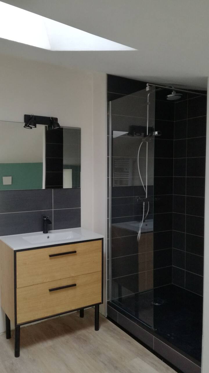 Cocon Moderne Et Chaleureux - Issoire