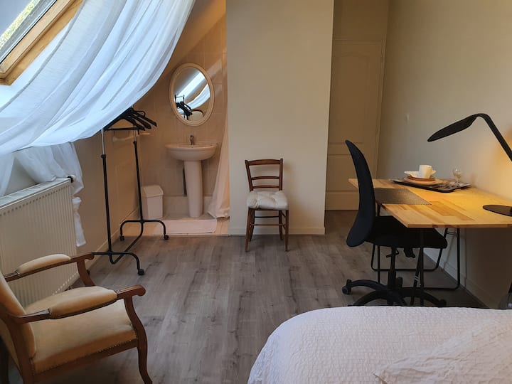 Chambre Dags Sdb Privée - Olivet