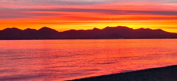 The Harbor 7 - Cannes