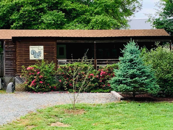 Creekside Cabins - Squirrels Nest - Bryson City, NC